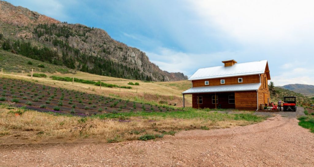 Living the Dream on Dutch Ridge Ranch: Part 1